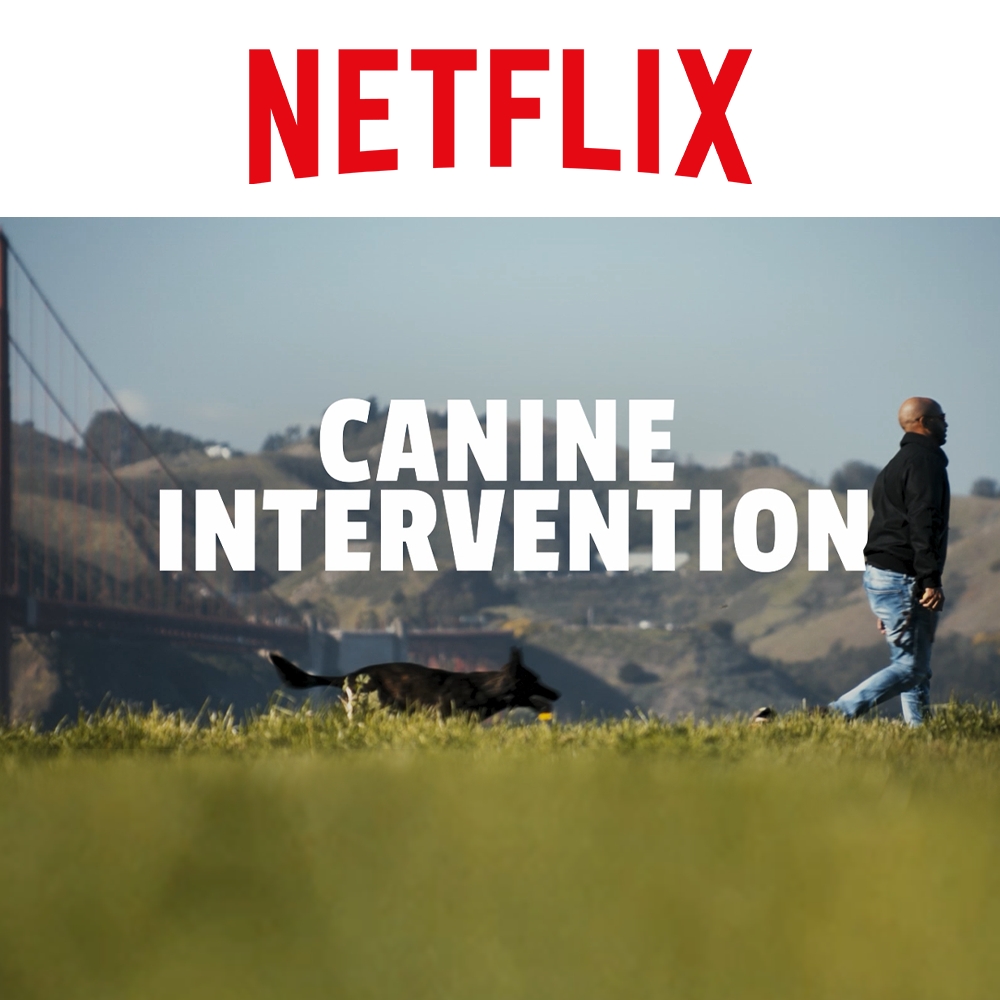 Cali K9 Dog Training - Jas Leverette-Los Angeles-Bay Area – Cali K9®